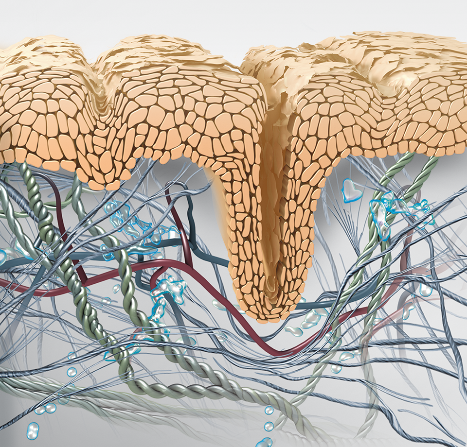 Hyaluron-Filler + Elasticity 3D Serum | para piel madura | Eucerin