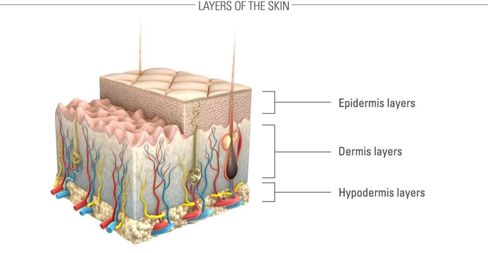 Skin Ageing Sign, Symptoms, Causes & Treatment | Eucerin